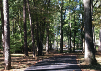 High Point Seeks Citizen Input For Greenway - The Rhino Times of Greensboro