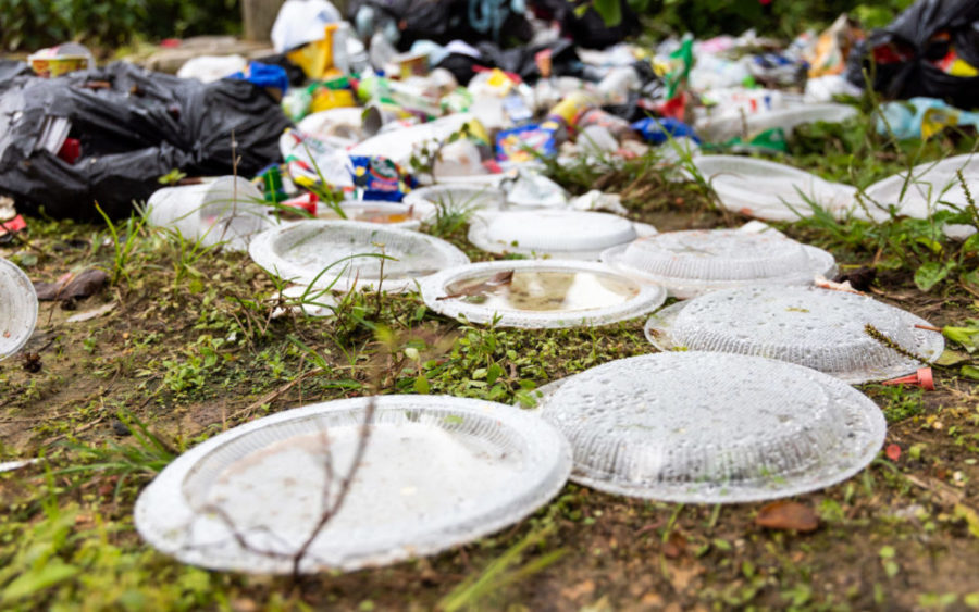 Some Increased Litter Is Not Pandemic Related - The Rhino Times of ...