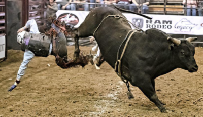 North Carolina Gets Its First-Ever Pro Bull-Riding Team - The Rhino ...