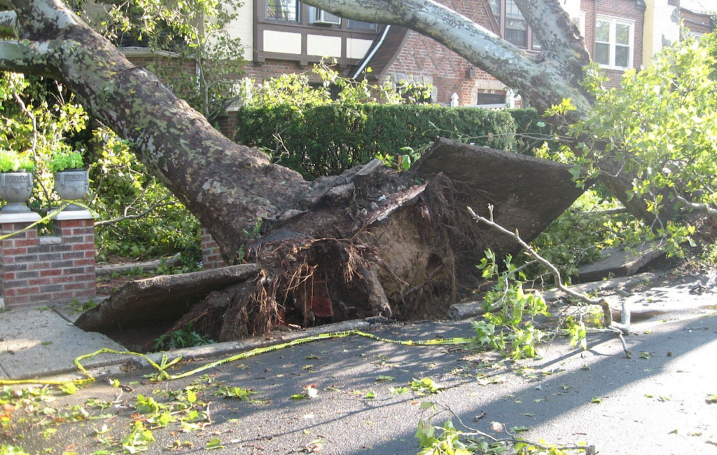 County’s Hazard Mitigation Plan Update Now Available - The Rhino Times ...